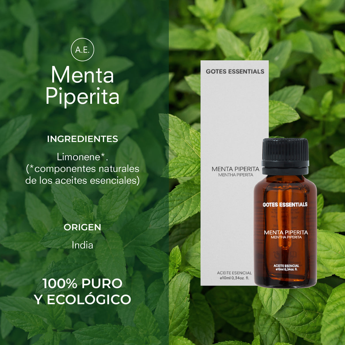 Aceite Esencial de Menta Piperita